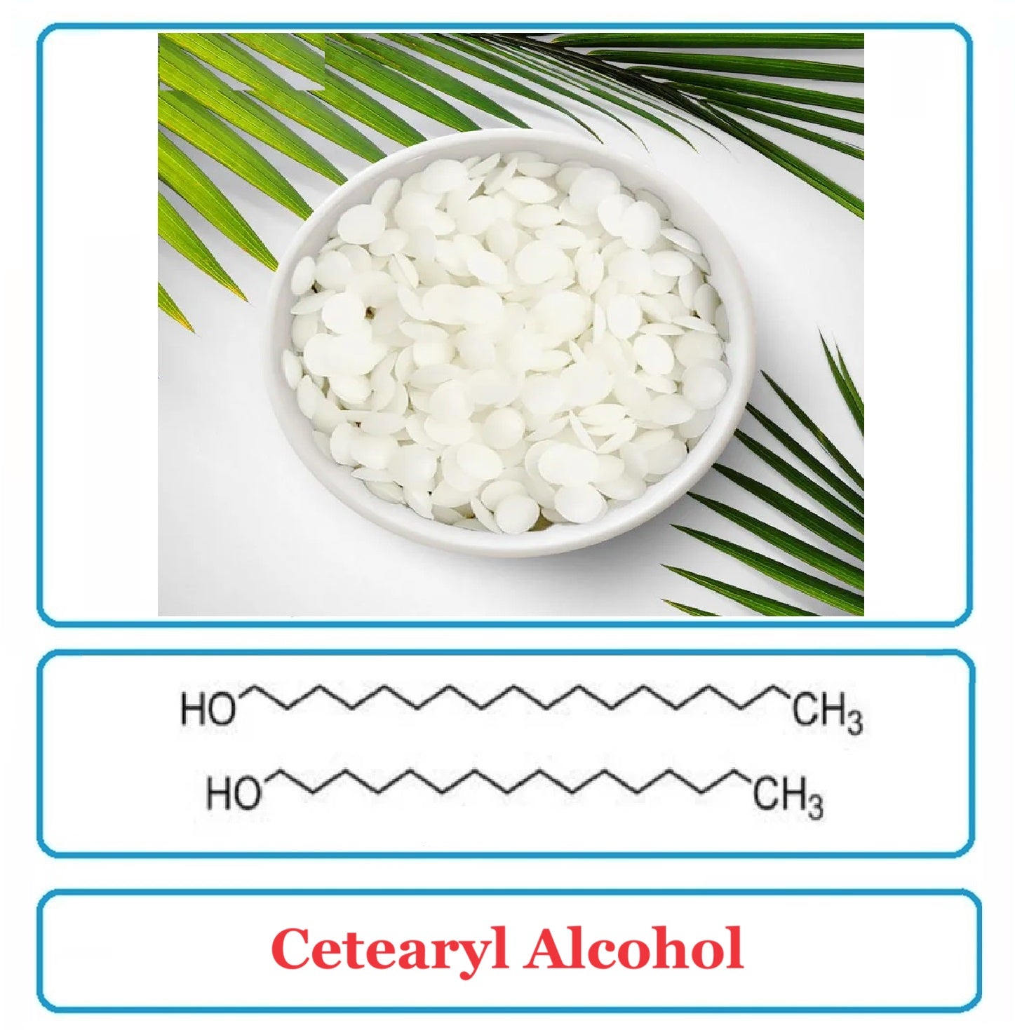 An Alcohol That’s Moisturizing? The Truth About Cetearyl Alcohol Revea